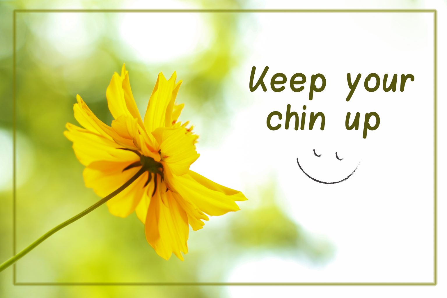 Keep Your Chin Up? Why Not? - Schlegel Consulting